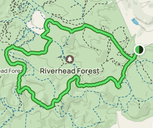 AllTrails | Robinson Road West Loop Track: 10 Reviews, Map - Auckland ...