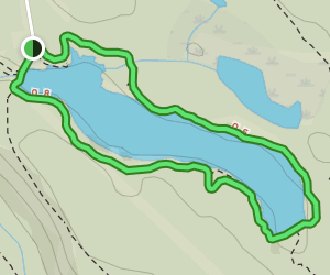 Johnson Lake: 1339 Reviews, Map - Alberta, Canada | AllTrails