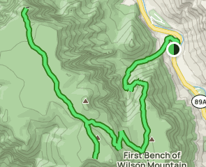 North Wilson Mountain Trail, Arizona - 812 Reviews, Map | AllTrails