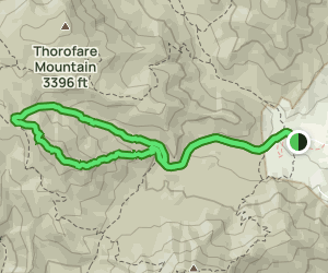 Robertson Mountain Trail Loop: 388 Reviews, Map - Virginia | AllTrails