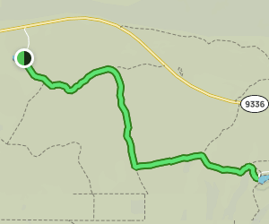 Long Pine Key Trail: 163 Reviews, Map - Florida | AllTrails