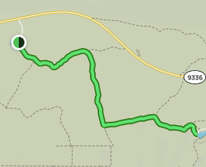 Long Pine Key Trail, Florida - 166 Reviews, Map | AllTrails