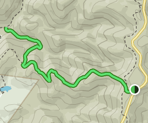 AllTrails | Wildcat Ridge Trail: 163 Reviews, Map - Virginia