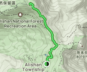 Alishan Tashan Trail: 38 Reviews, Map - Chiayi, Taiwan | AllTrails