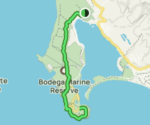Bodega Head via Upper Dunes, Salmon Creek Beach, and Bodega Head Trail ...