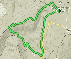Elkwallow, Mathews Arm, and Knob Mountain Cutoff Trail: 126 Reviews ...