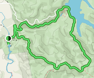 Cossey Massey Loop Track: 538 Reviews, Map - Auckland, New Zealand ...