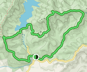 AllTrails | Wairoa Loop Track and Suspension Bridge Track: 186 Reviews ...