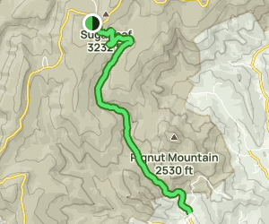 Piney Branch Trail: 102 Reviews, Map - Virginia | AllTrails