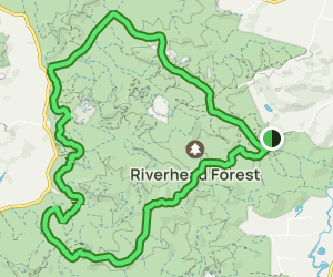Riverhead Forest Loop Track: 31 Reviews, Map - Auckland, New Zealand ...