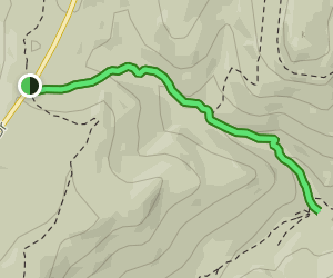 Mill Prong to Rapidan Camp | Map, Guide - Virginia | AllTrails