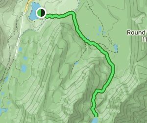 Tamarack Lakes Trail: 47 Reviews, Map - California | AllTrails