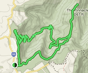Springbrook Pinnacle Loop: 164 Reviews, Map - Queensland, Australia ...
