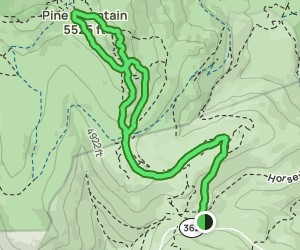 Appalachian and Rhododendron Gap Trail Loop | Mappa, Guida - Virginia ...