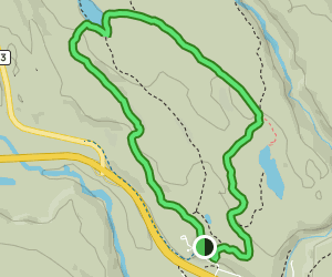 Pipestone Loop Trail: 100 Reviews, Map - Alberta, Canada | AllTrails