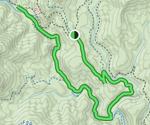 Trace Ridge to North Mills River Trail: 119 Reviews, Map - North ...