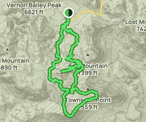 Emory Peak - Northeast Rim - South Rim Loop: 214 Reviews, Map - Texas ...