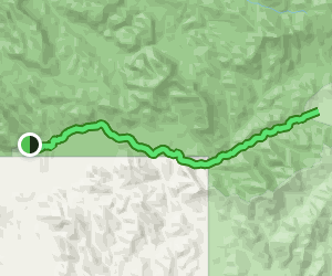 Coffee Flat Trail: 65 Reviews, Map - Arizona | AllTrails