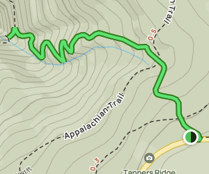 Lewis Falls via Lewis Spring: 282 Reviews, Map - Virginia | AllTrails