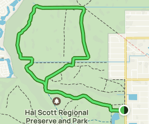 Hal Scott Preserve Red Blaze Loop: 66 Reviews, Map - Florida | AllTrails