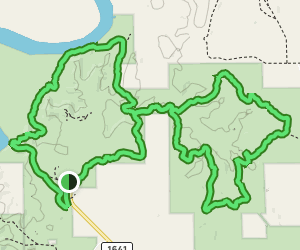 Torreya Challenge: 185 Reviews, Map - Florida | AllTrails
