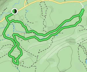 Eskdale Ramble and Dalegarth Waterfalls Circular: 183 Reviews, Map ...
