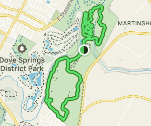 Onion Creek and Homestead Trail Loop: 850 Reviews, Map - Texas | AllTrails