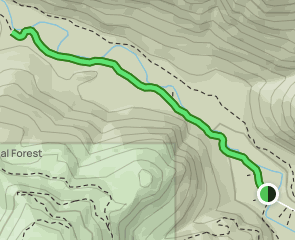 Four Stream Trail, Washington - 109 Reviews, Map | AllTrails