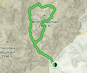 Catlett Mountain via Nicholson Hollow Trail: 120 Reviews, Map ...