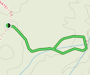 Don Bonker Cedar Grover Trail: 3 Reviews, Map - Washington | AllTrails