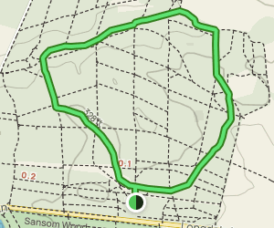 Blidworth Woods: 85 Reviews, Map - Nottinghamshire, England | AllTrails