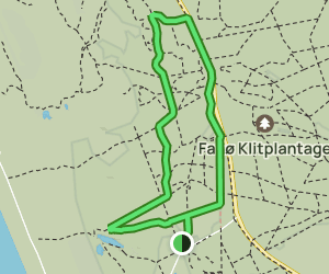 MTB Trail- Fanø Klitplantage: 8 Reviews, Map - Region of Southern ...