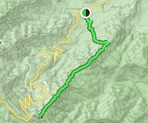 Ladybug Trail #329: 87 Reviews, Map - Arizona | AllTrails