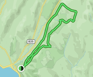 Kilbroney Park and Rostrevor Forest via Mourne Way: 65 Fotos - County ...