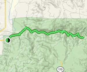 Deep Creek Hot Springs to PCT: 1.204 foto - California | AllTrails