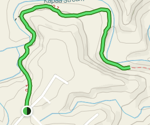 Hoopii Falls Trail: 3691 Reviews, Map - Kaua'i, Hawaii | AllTrails