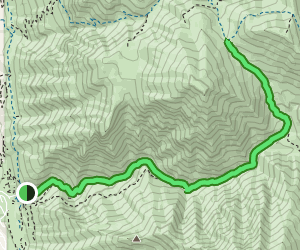 Slate Canyon Trail: 264 Reviews, Map - Utah | AllTrails
