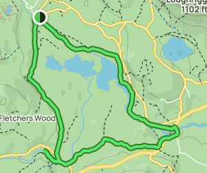 Elterwater Lake Circular, 856 Photos - Cumbria, England | AllTrails