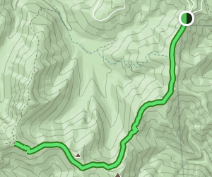 Bluff Mountain Trail: 63 Reviews, Map - Washington | AllTrails