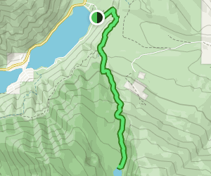 Tamarack Lake Trail (Twin Lakes): 66 Reviews, Map - California | AllTrails