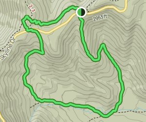 Corbin Cabin via Nicholson Hollow and Appalachian Trail Loop: 202 ...