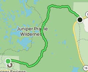 Juniper Springs Run Kayak, Florida - 79 Reviews, Map | AllTrails