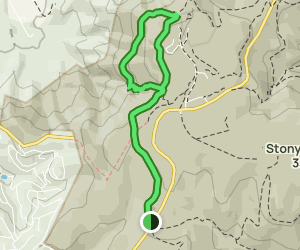 Milam Gap and Lewis Falls Loop: 118 Reviews, Map - Virginia | AllTrails