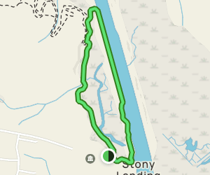 Old Santee Canal Park Loop: 157 Reviews, Map - South Carolina | AllTrails
