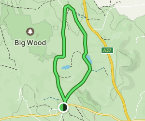 Evershot Circular: 67 Reviews, Map - Dorset, England | AllTrails