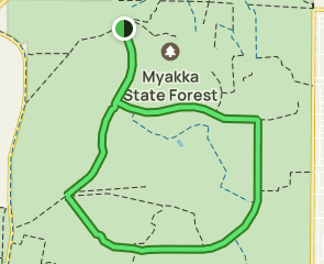 Myakka State Forest South Loop, Florida - 58 Reviews, Map | AllTrails