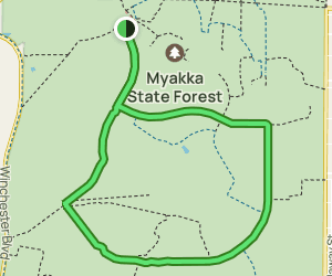 Myakka State Forest South Loop: 62 foto's - Florida | AllTrails
