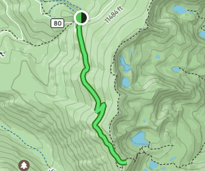 Rogers Pass | Map, Guide - Colorado | AllTrails