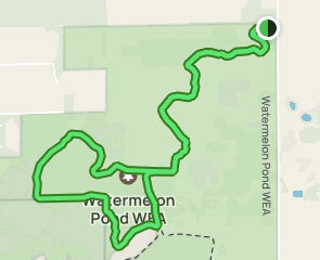 Watermelon Pond and Blue Heron Loop : 131 foto - Florida | AllTrails