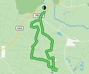 Alexander Springs Loop: 110 Reviews, Map - Florida | AllTrails